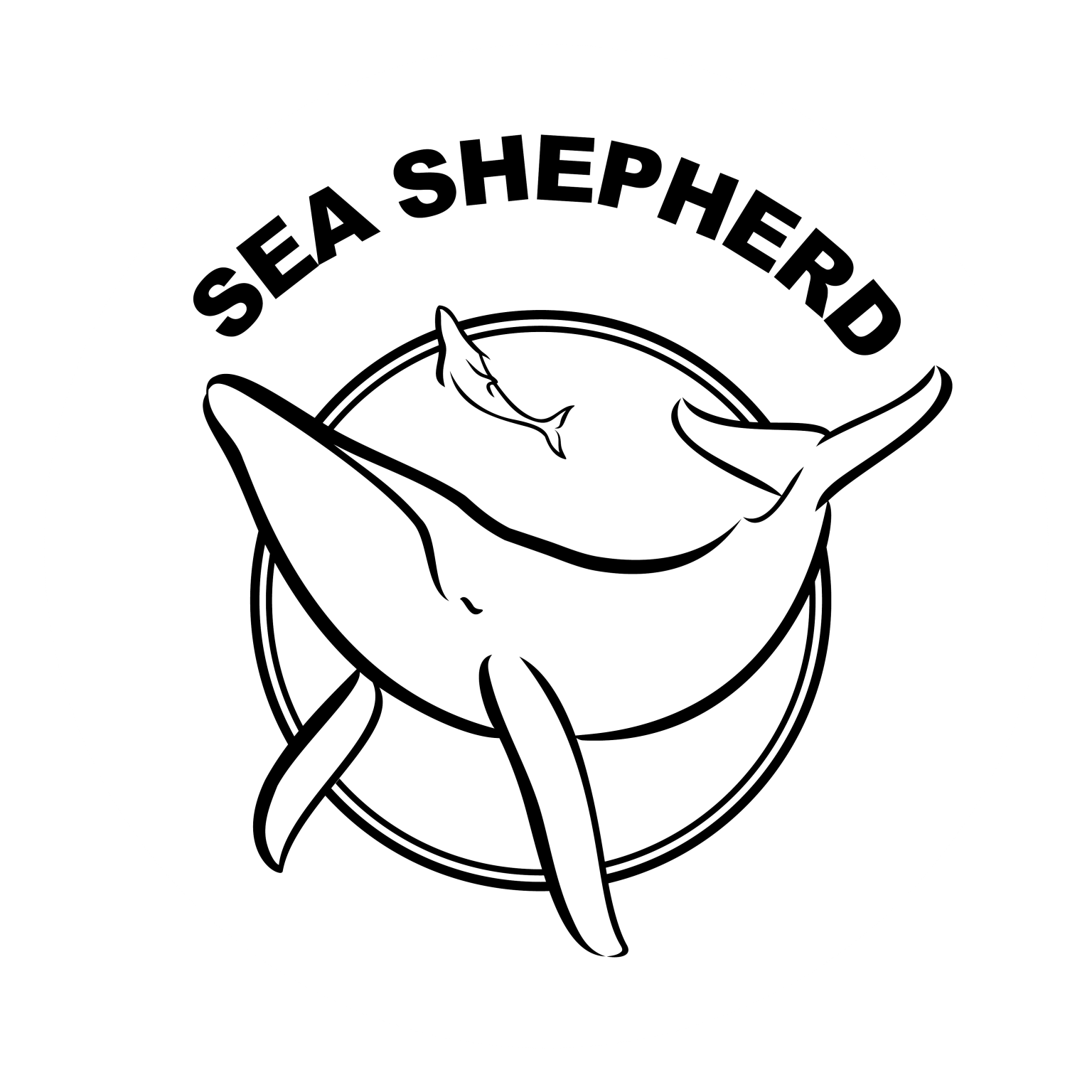 Adesivo Sea Shepherd - Baleias - Loja da Sea Shepherd Brasil